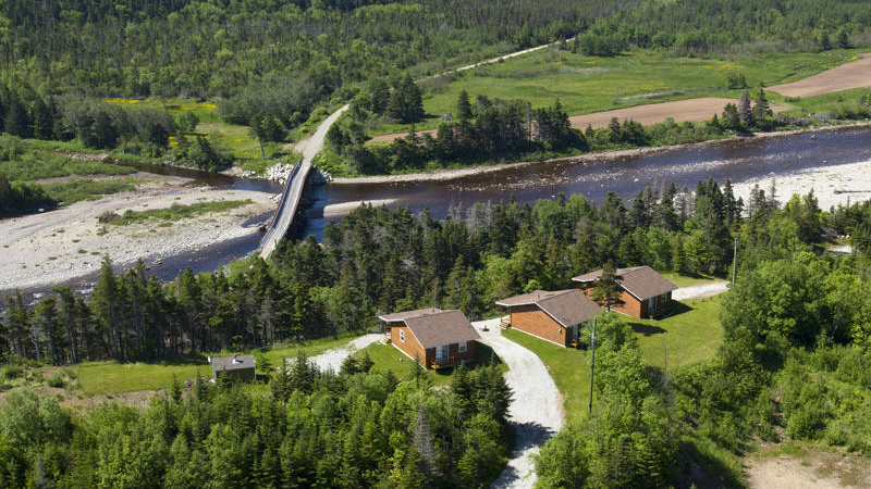 Rencontrez le chef Shane Chartrand d’Edmonton : le premier chef ...